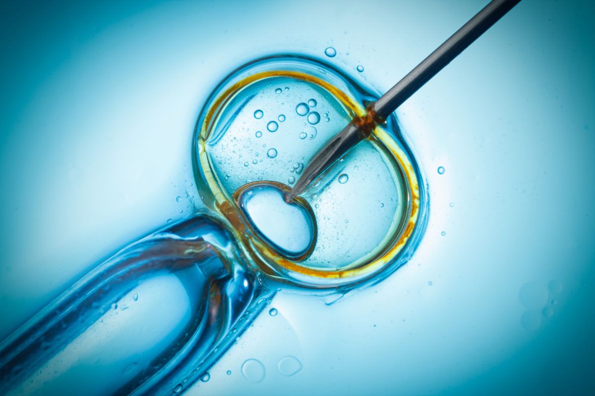 Prosessen med in vitro fertilisering (IVF) som et svangerskapssurrogat